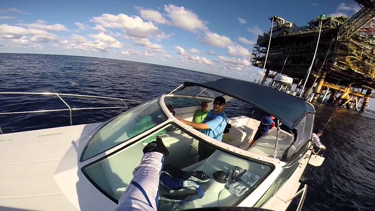 plataforma mexilhão 04/05/16 - YouTube