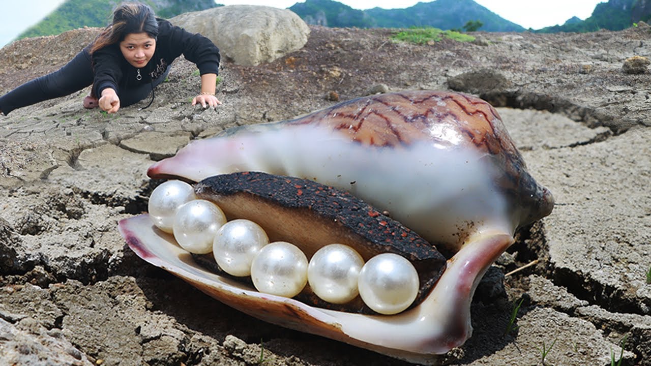 Deference Pearls Come Out Shells Secret Soil - Hunting Crystal Pearls ...