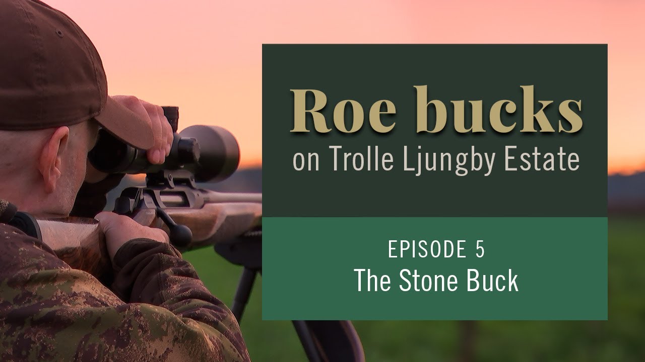 Hunting The Stone Buck - YouTube