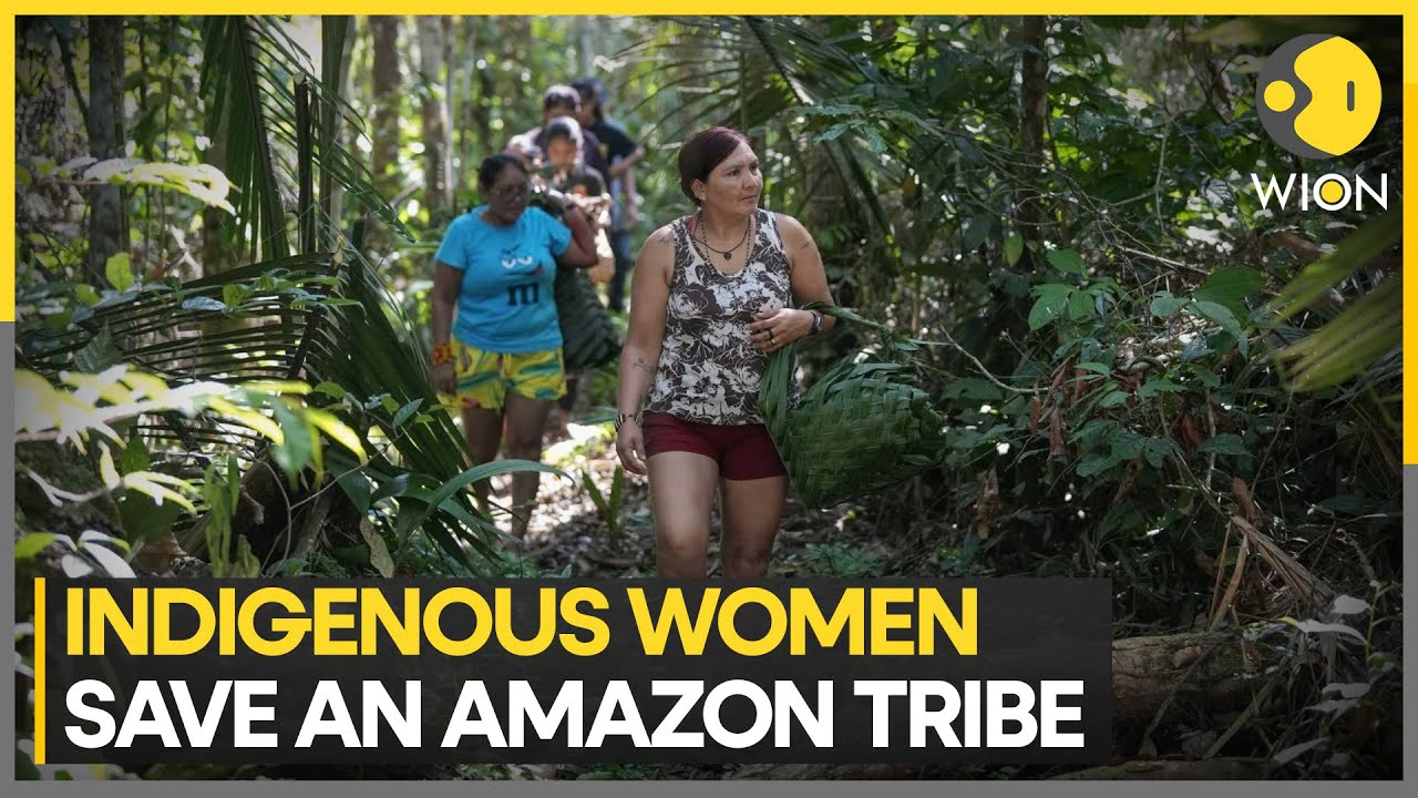 Indigenous women bring tribe back from brink of extinction | World News ...