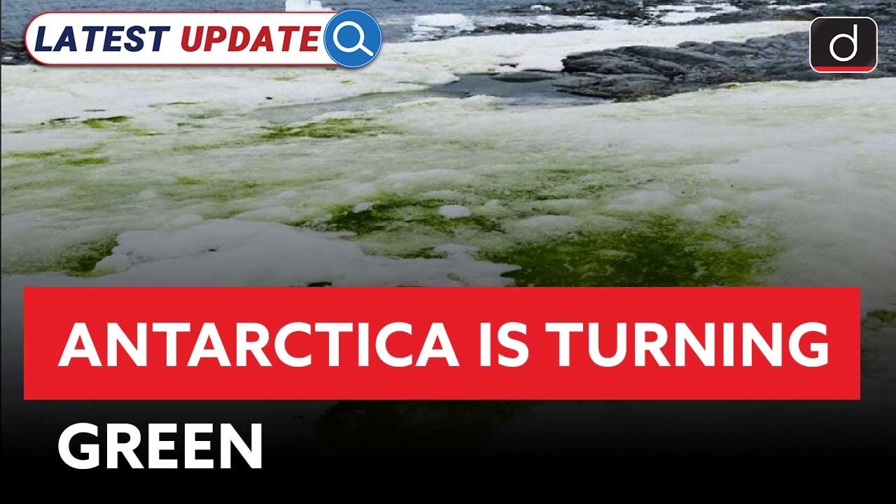 Antarctica is Turning Green | Antarctica Peninsula | Latest Update ...