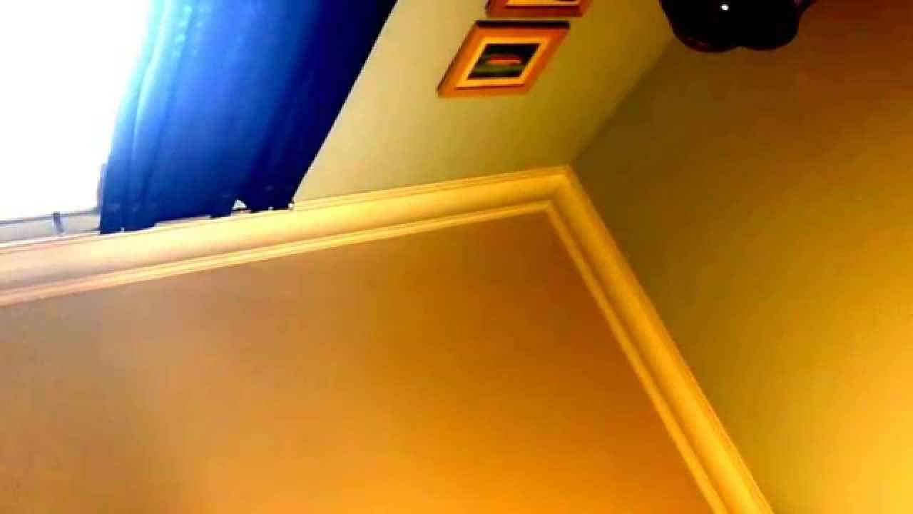 Zombie apocalypse In real life part 1 - YouTube