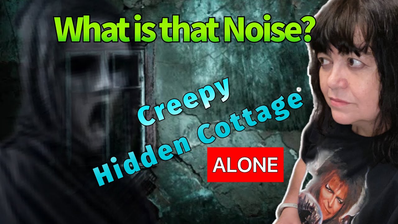 WARNING! Awful noise throughout video - what is that? You decide! - YouTube