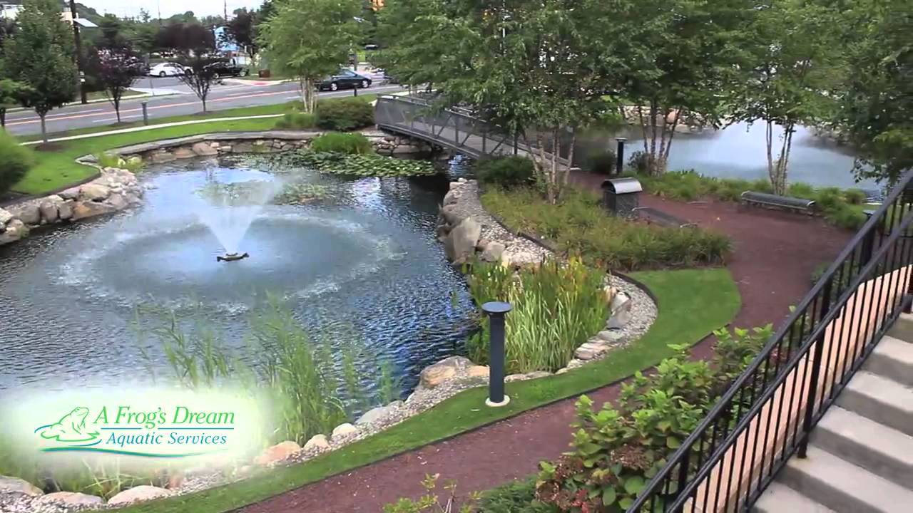 Retention Pond and Aeration - YouTube