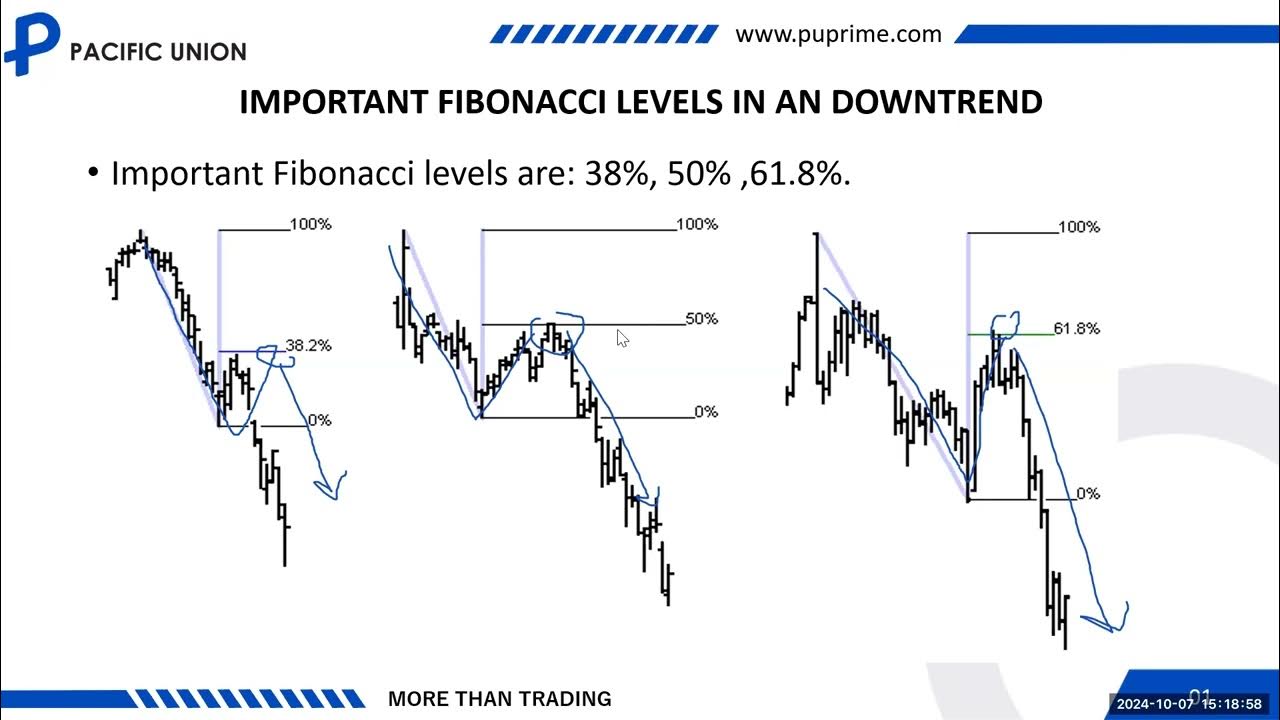 INTRODUCTION TO FIBONACCI 07/10/2024 BY ROTIMI OLAWALE - YouTube
