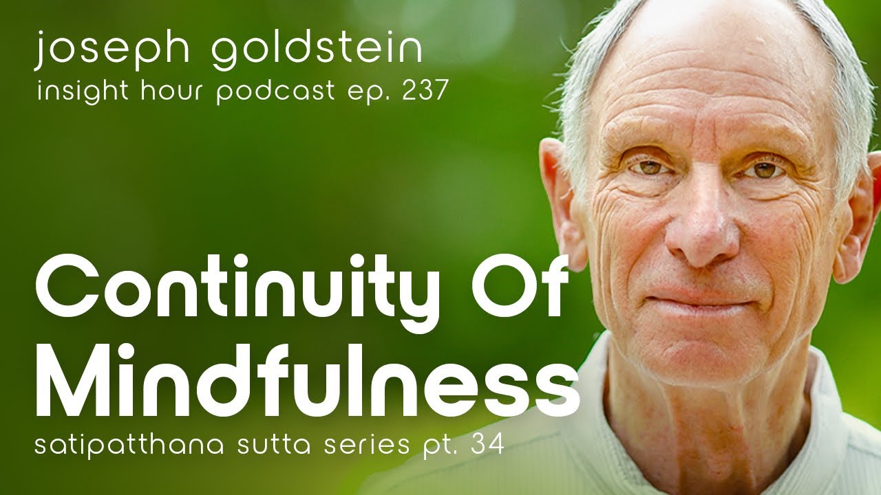 Continuity of Mindfulness with Joseph Goldstein – Insight Hour Ep. 237 ...