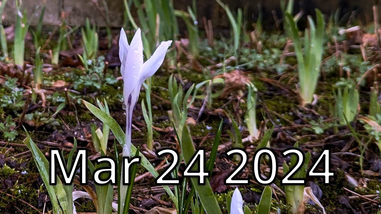 Mar 24 2024 - YouTube