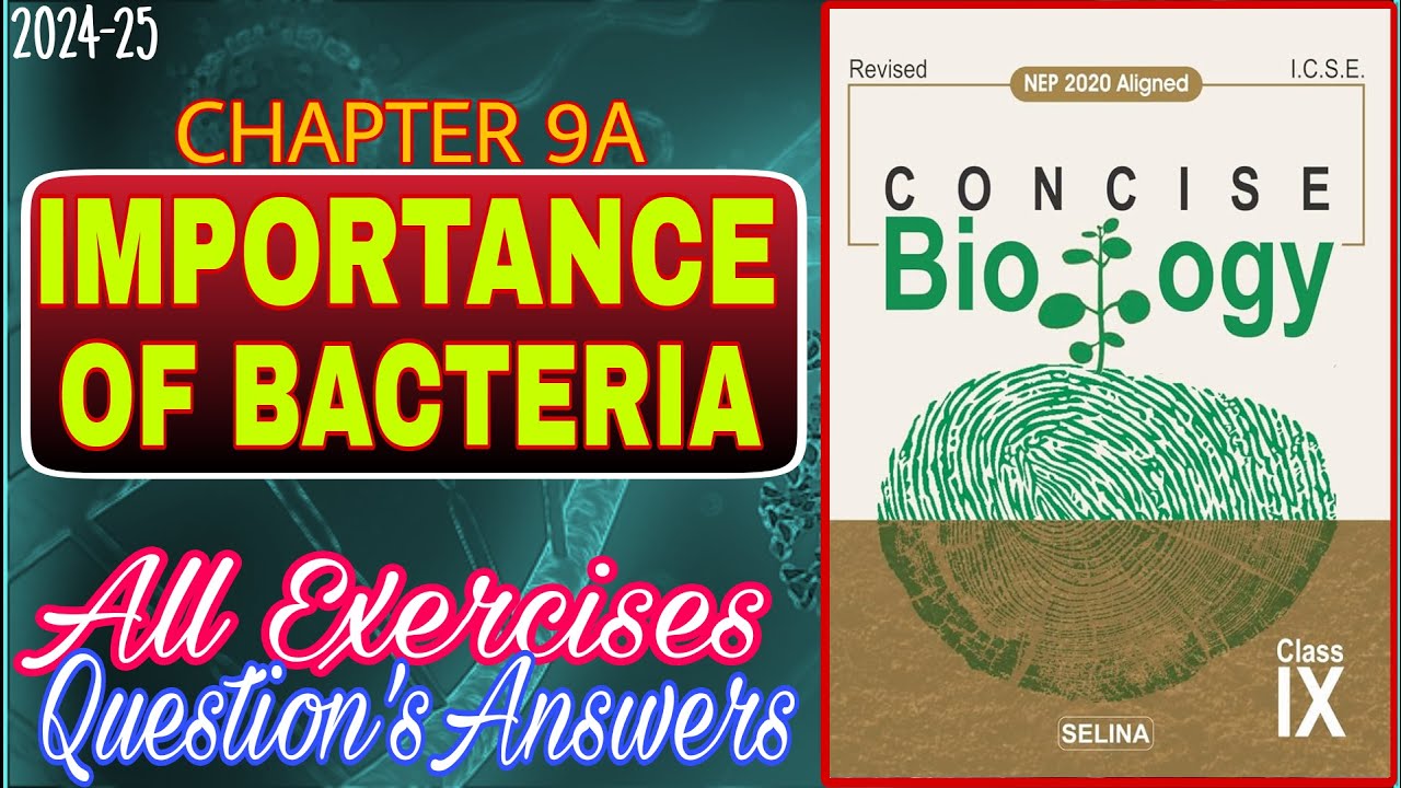 Importance of Bacteria | Class 9 Biology | Chapter 9a | All Answers ...