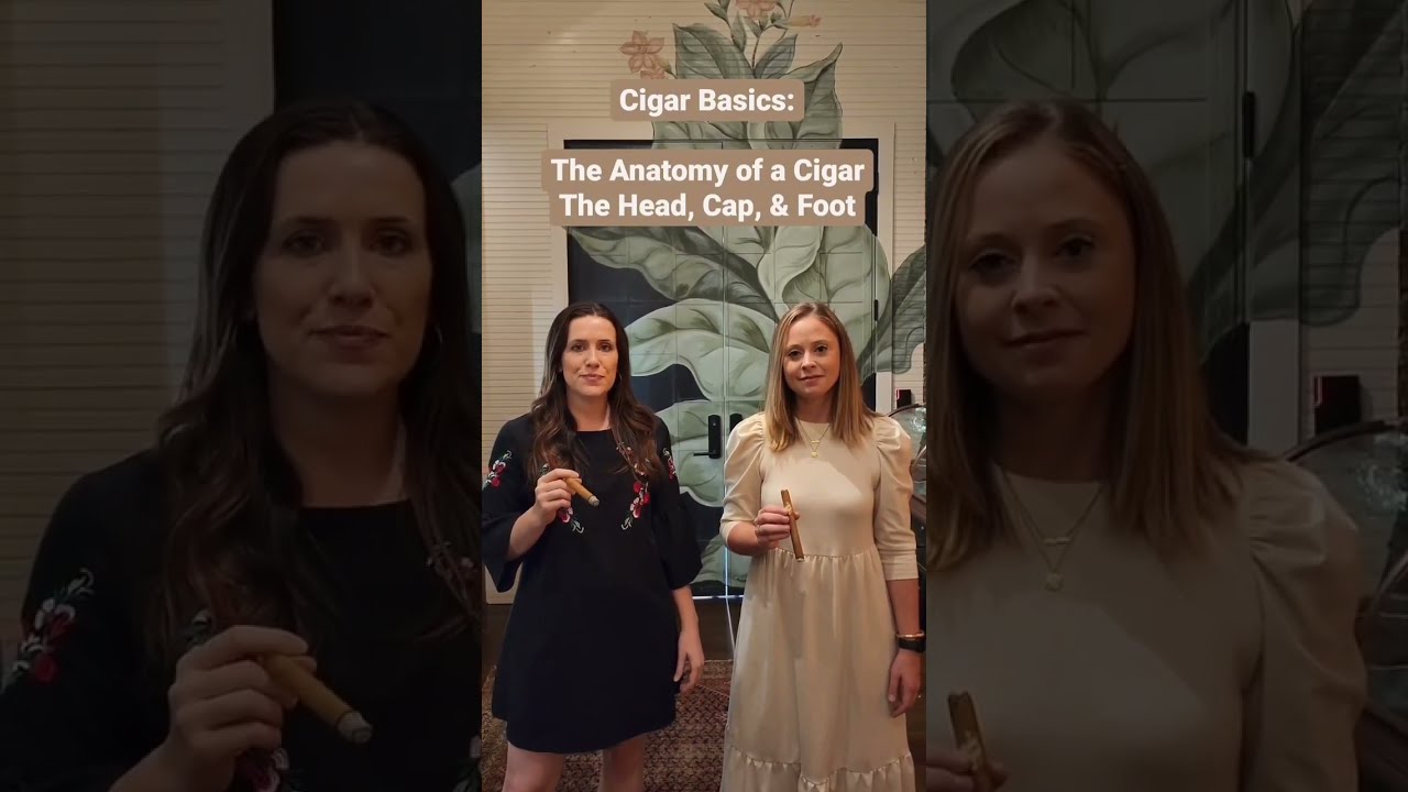 Cigar Basics: The Anatomy of a Cigar- The Head, The Cap, and The Foot # ...