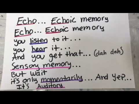Echoic Memory - YouTube