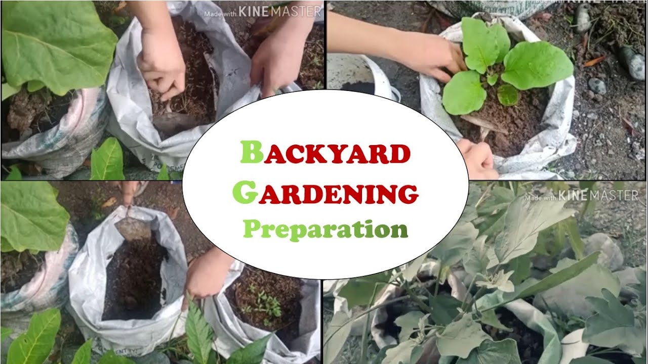 BACKYARD GARDENING PREPARATION - YouTube