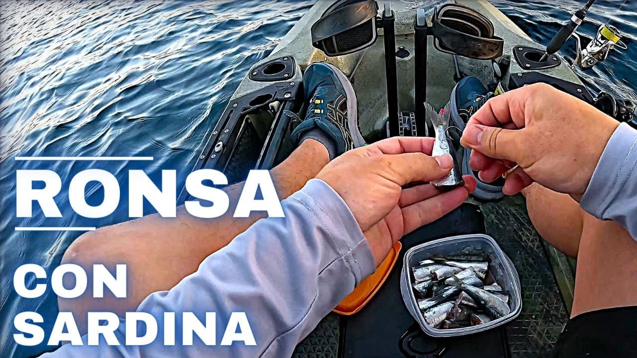 Pescando a la RONSA desde KAYAK. - YouTube
