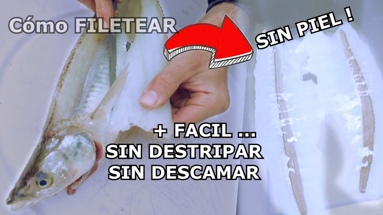 LIMPIA PESCADO SIN DESTRIPAR Y SIN SACAR ESCAMAS. FILETEAR SIN PIEL ...