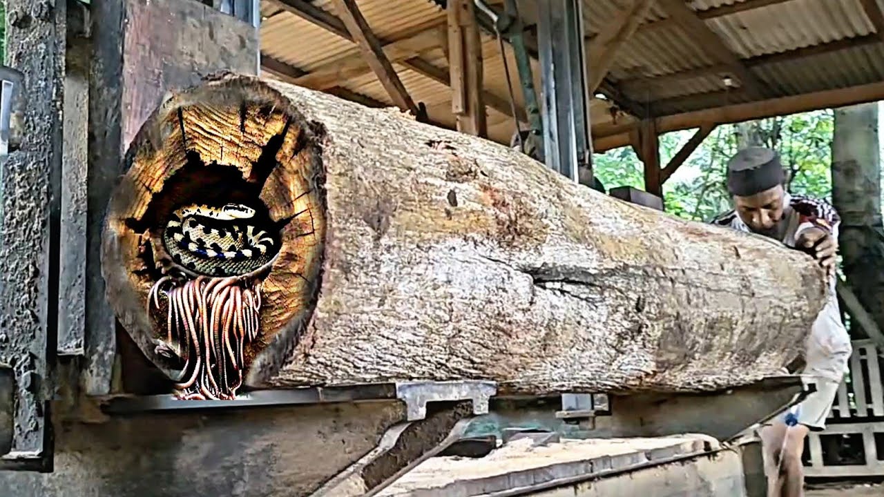 Sawing dense and hard acacia wood on a plank and block saw - YouTube