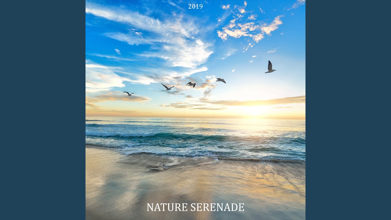 Mindful Nature - YouTube