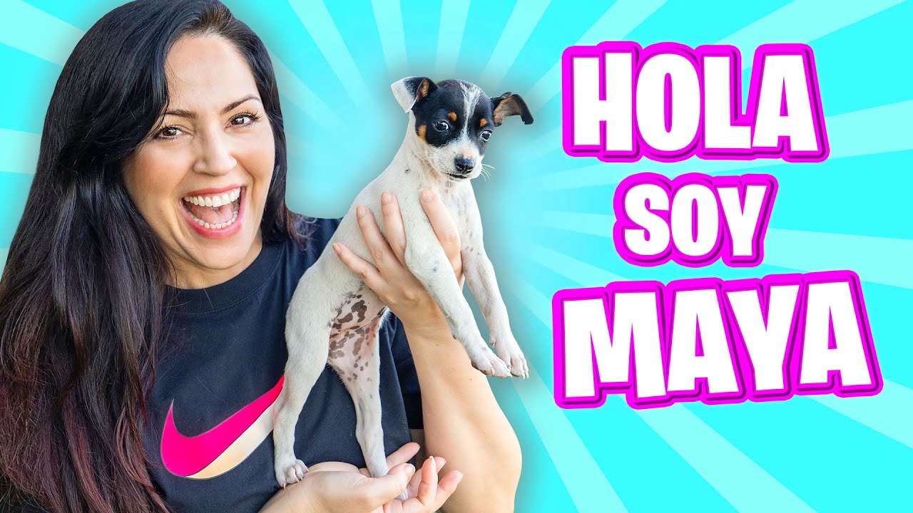 HOLA SOY MAYA! 🎁 PERRITO BEBE 😍 SORPRESA EPICA a Mia por su Cumpleaños ...