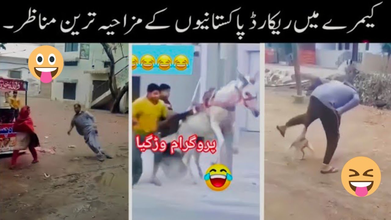 Most Funny People Movements Part 1 | Viral Funny Video | Funny ...