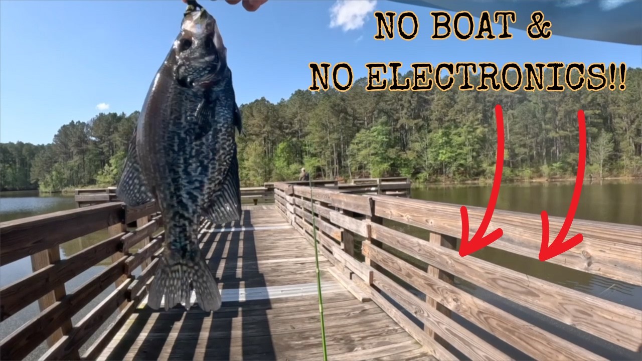How To Catch CRAPPIE From The DOCKS Without A BOAT! | SPAWNING Crappie ...
