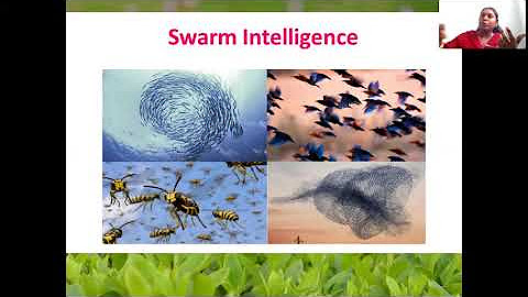 Nature Inspired Computing Techniques - YouTube