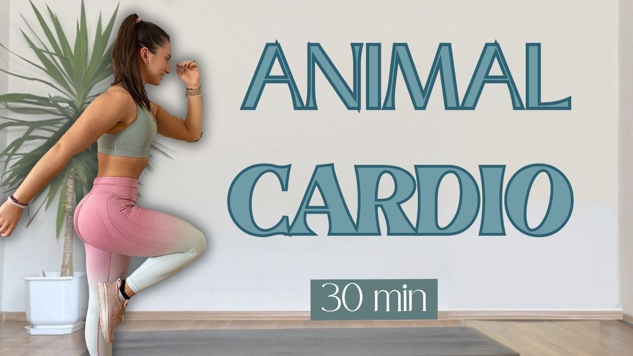 ANIMAL CARDIO LOW IMPACT | 30 Minute Home Workout - YouTube