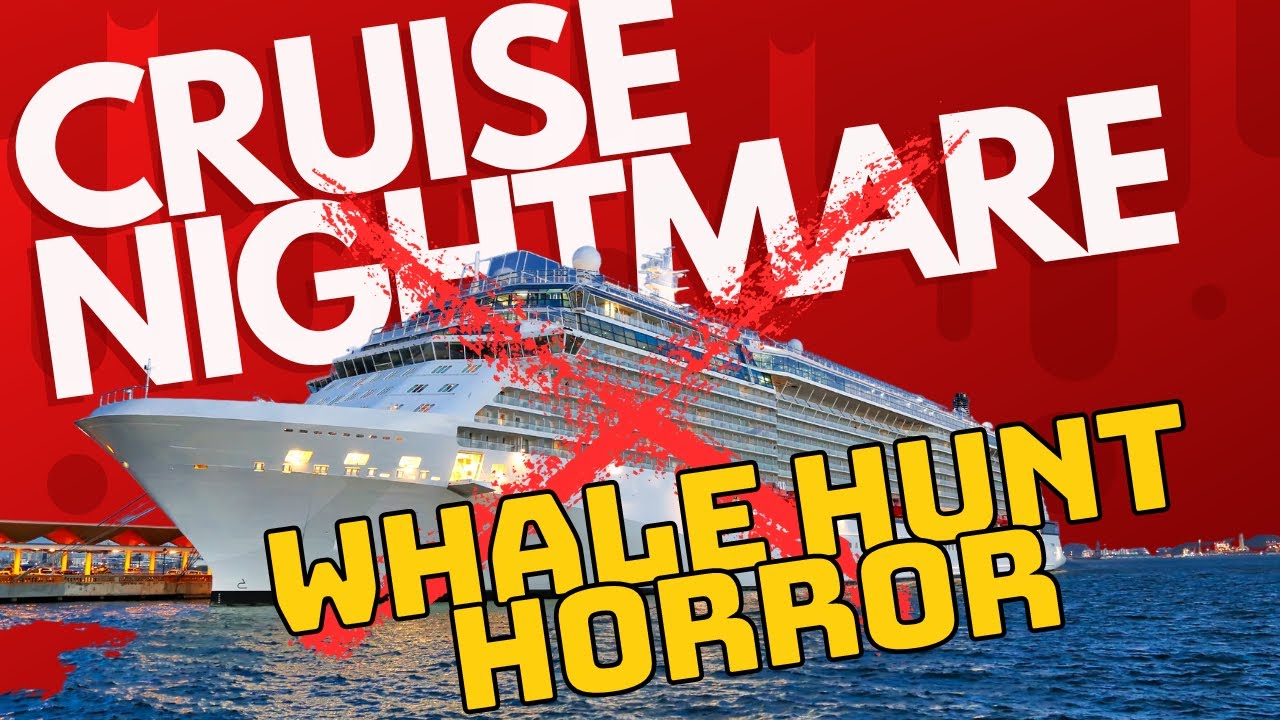 Passengers Witness Disturbing Whale Hunt Live on Luxury Cruise ...