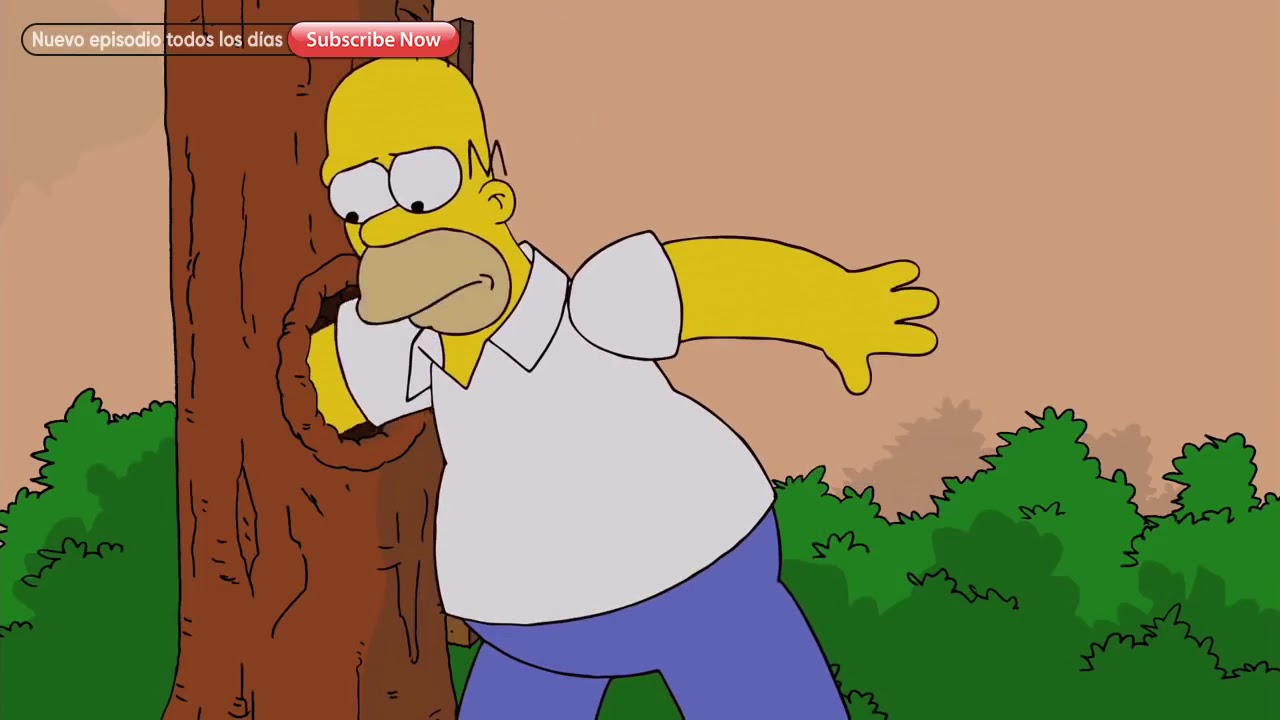 Homero esconde dinero - YouTube