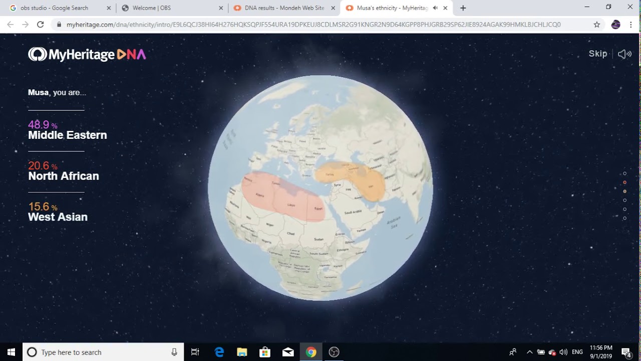 MyHeritage DNA test Results - Palestinian From Haifa تحليل الحمض النووي ...