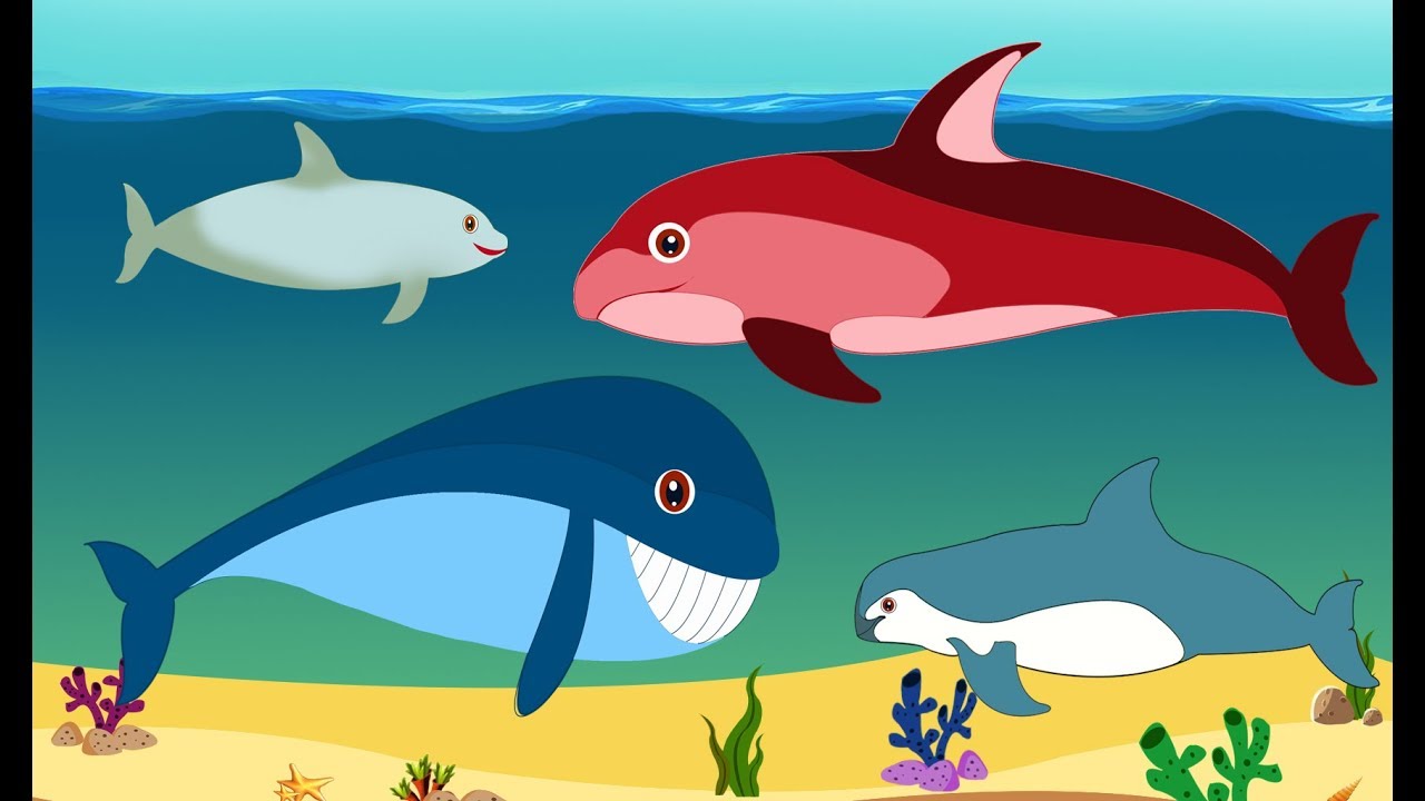 Ten Little Baby Whales | Baby Whale Song For Kids | Learn Sea Animals ...