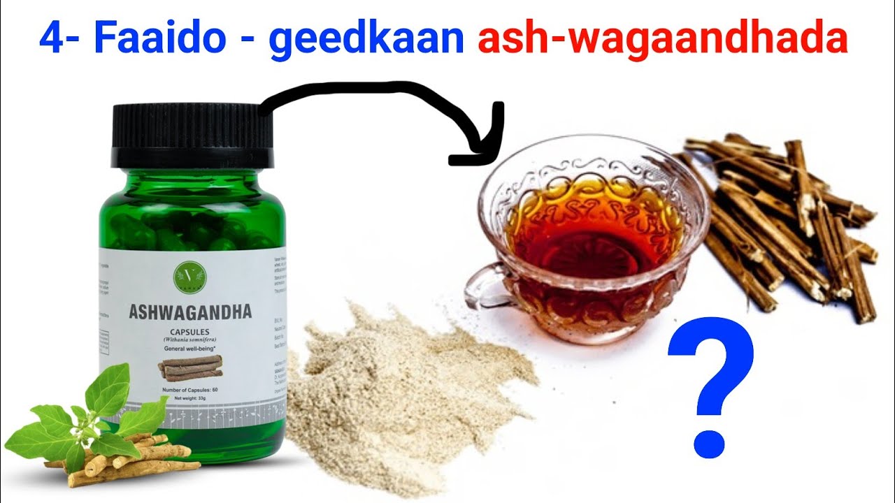 4- Faaido -- Geedka ash-wagaandhada - wili sidaan ma u isticmaashay ...