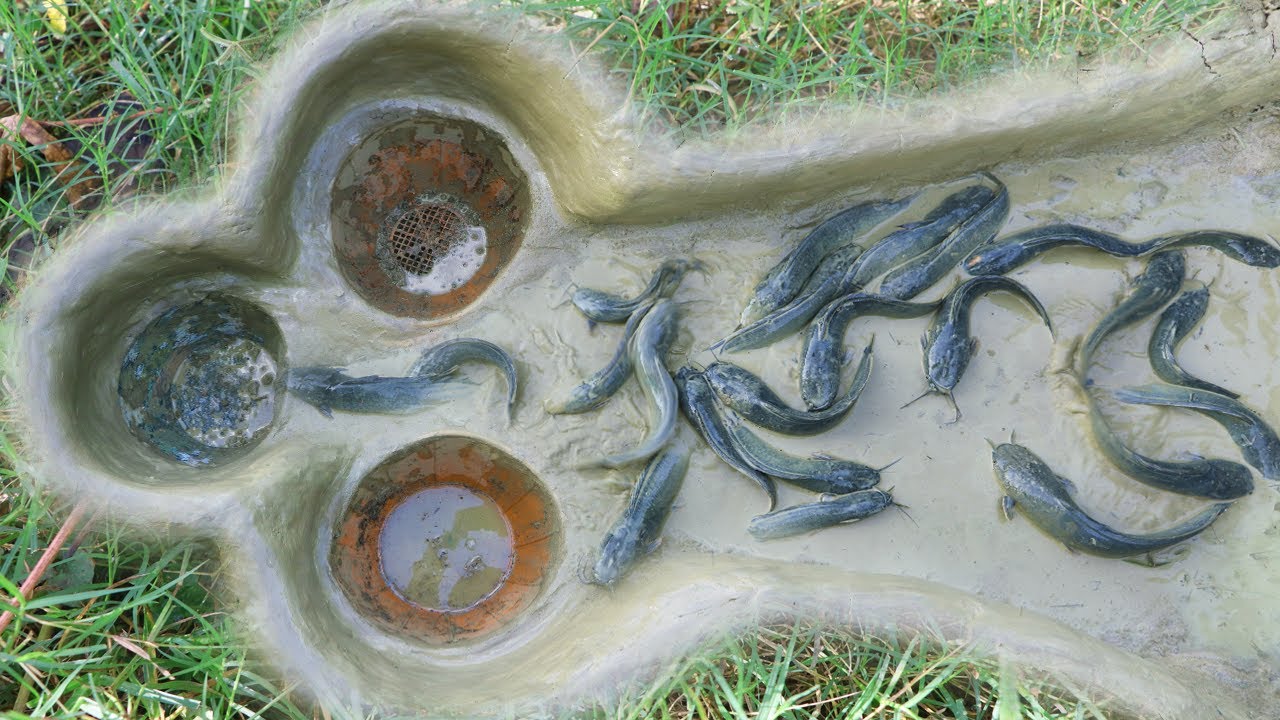Amazing Hole Fish Trap - Two Smart Men Build Fish Trap By Muddy Soil ...