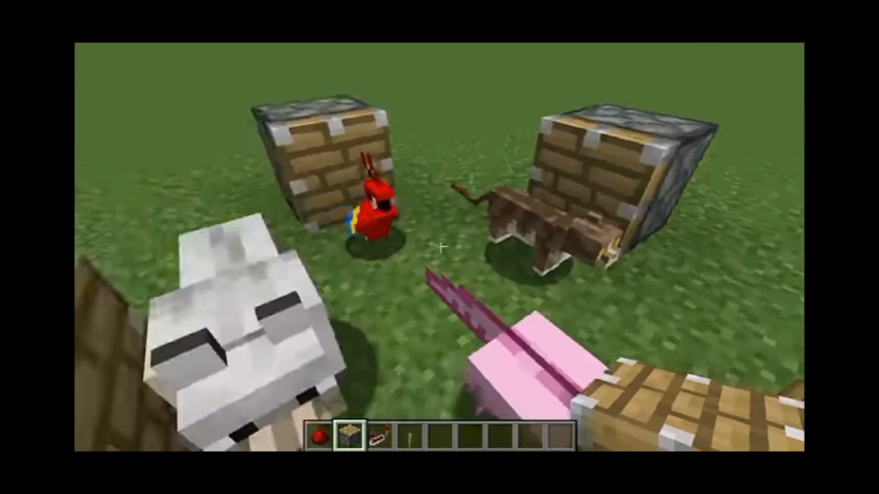 Minecraft axol ep 11 - YouTube