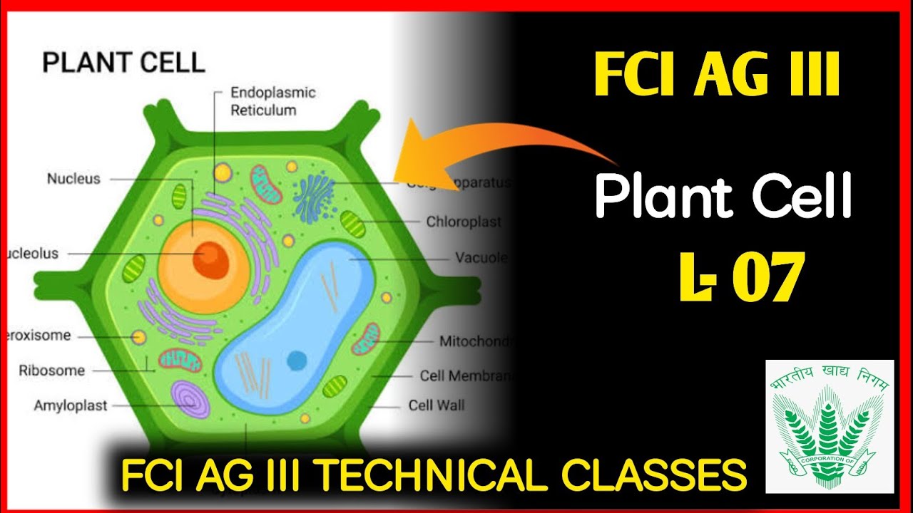Plant Cell Structure and Function [L- 07] | FCI AG 3 Technical Classes ...