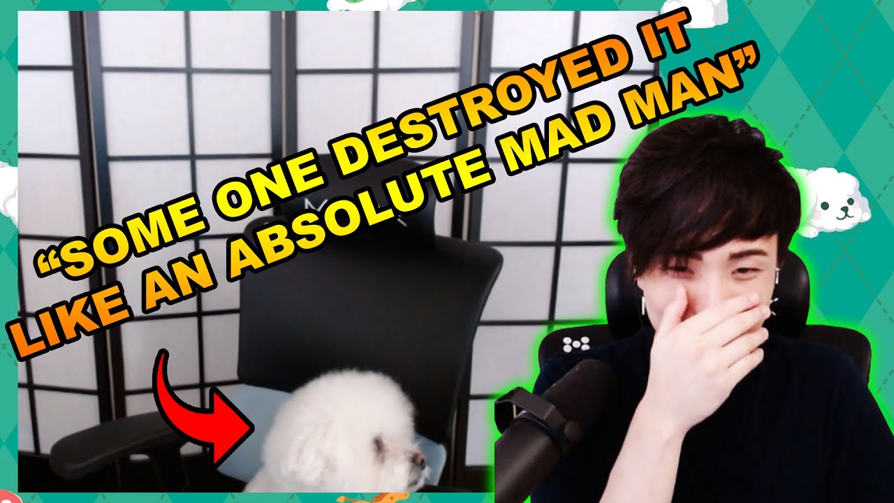 BIMBUS' FIRST EVER STREAM! | Some MANIAC literally destroyed SYKKUNO's ...