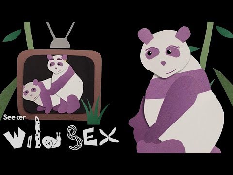 Could Porn Save the Dwindling Panda Population?