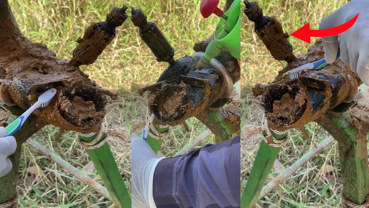 You Won’t Believe!! Cow Hoof Cleaning What Was Inside This Cow’s Hoof ...