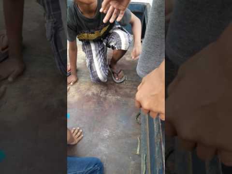 Mau aja megang ludah