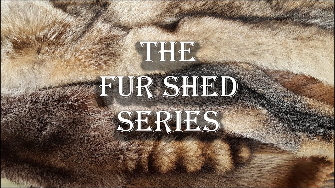 The Fur Shed Series - 14 - YouTube