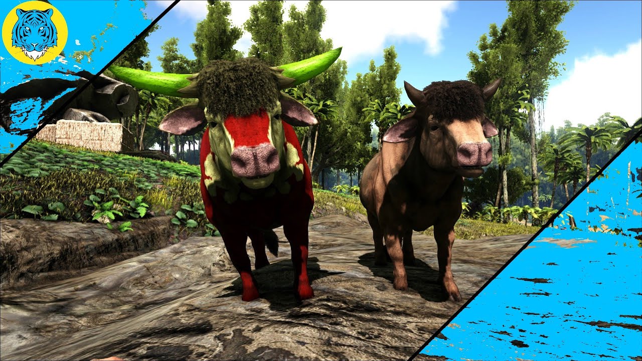 Taming a Cow In Ark!! Ark survival evolved - YouTube