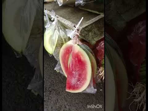 tantangan belanja 15 ribu , bisa dapet buah !!!