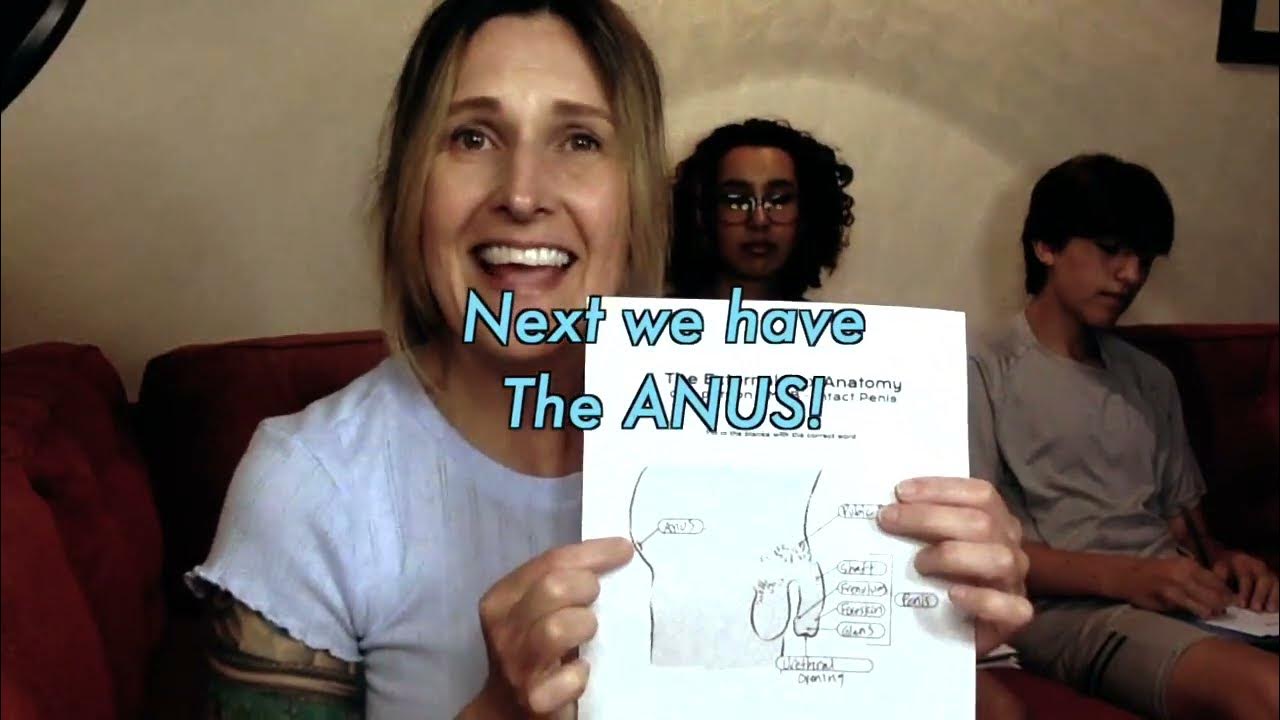 Sex Ed At Home - The Porn Conversation Curriculum and Activity Guide ...