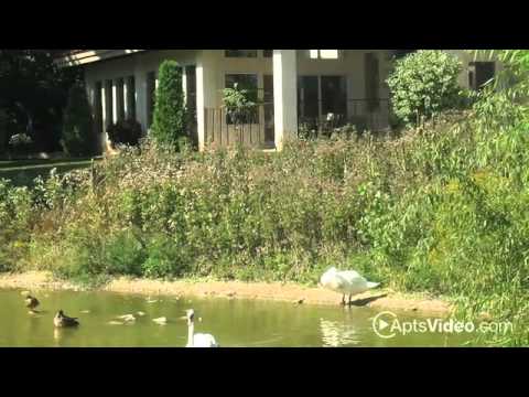 Springbrook Cercle Apartments in Oak Creek, WI - ForRent.com - YouTube