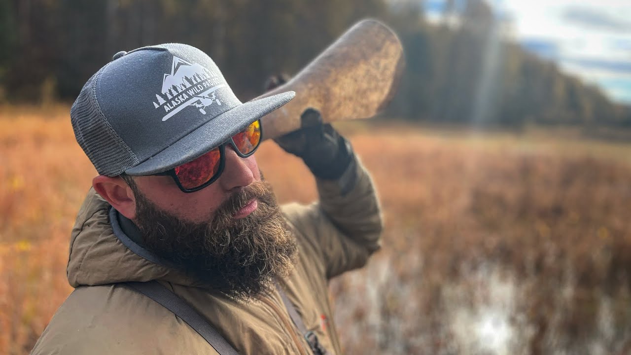 @alaskawildproject MOOSE CALL COMPETITION! - YouTube