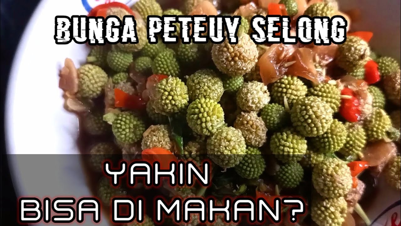 RASANYA DI LUAR EKSPEKTASI - TUMIS BUNGA PETAI CINA | PEUTEUY SELONG ...