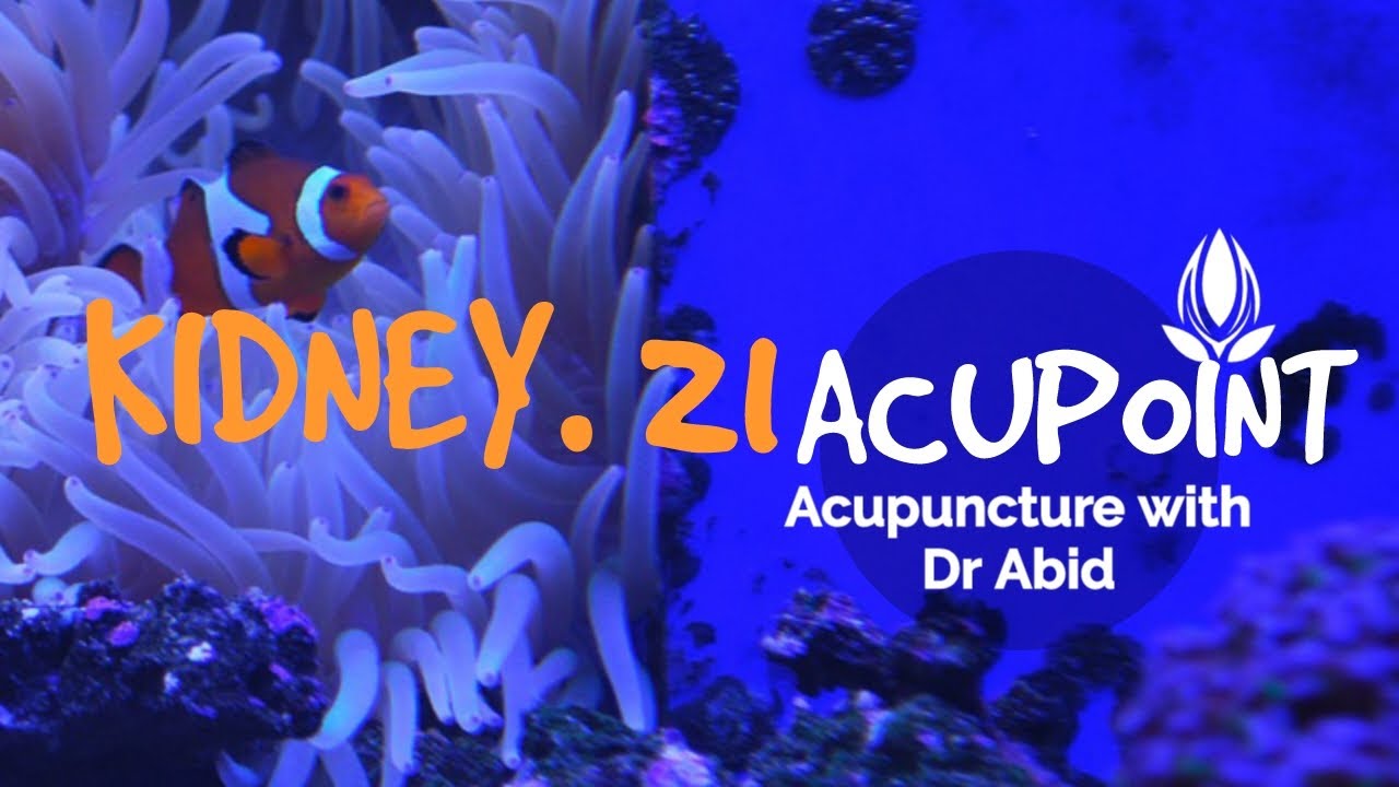 Psycho-Spiritual aspects of Kidney. 21 Acupuncture point ☝🏻 - YouTube