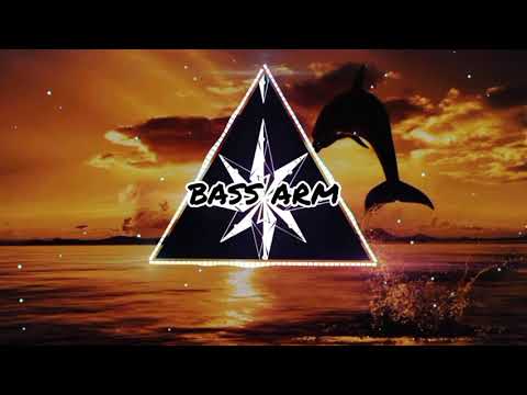 BASS ARM Cacan-beats-mona liza-slow Remix/
