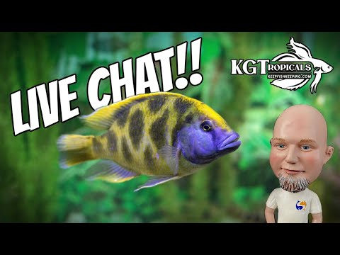 Live FishFam Channels | fishfam.link