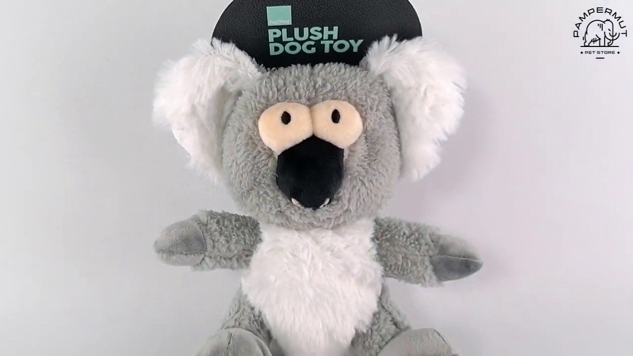 FUZZYARD Koala - Peluche para perro - YouTube