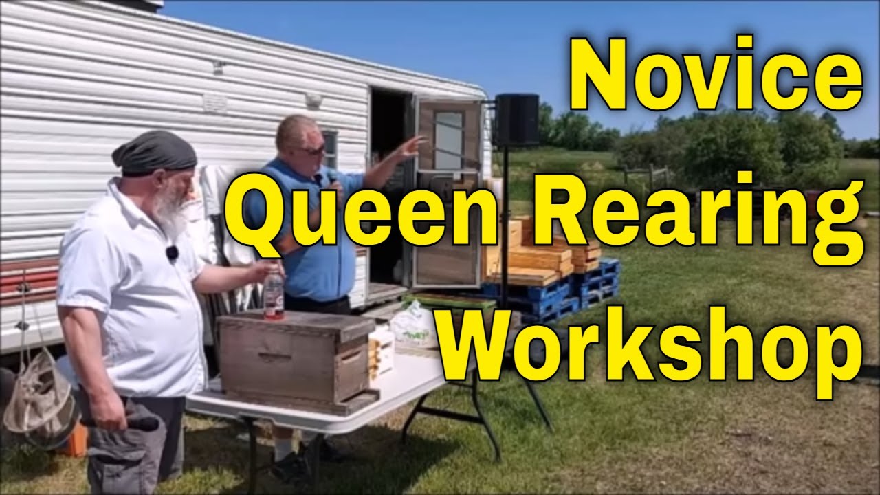 Novice Queen Rearing Workshop-That Bee Man - YouTube