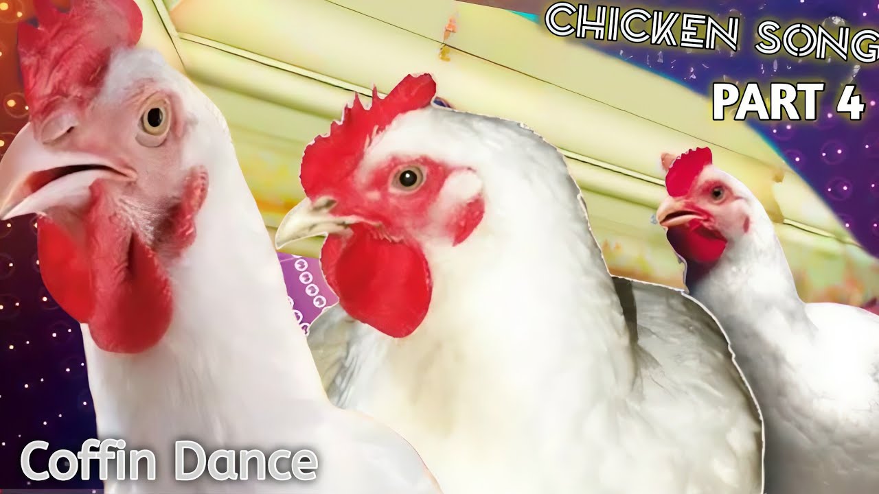 Chicken Songs - Coffin Dance Song *Part 4* (COVER) - YouTube