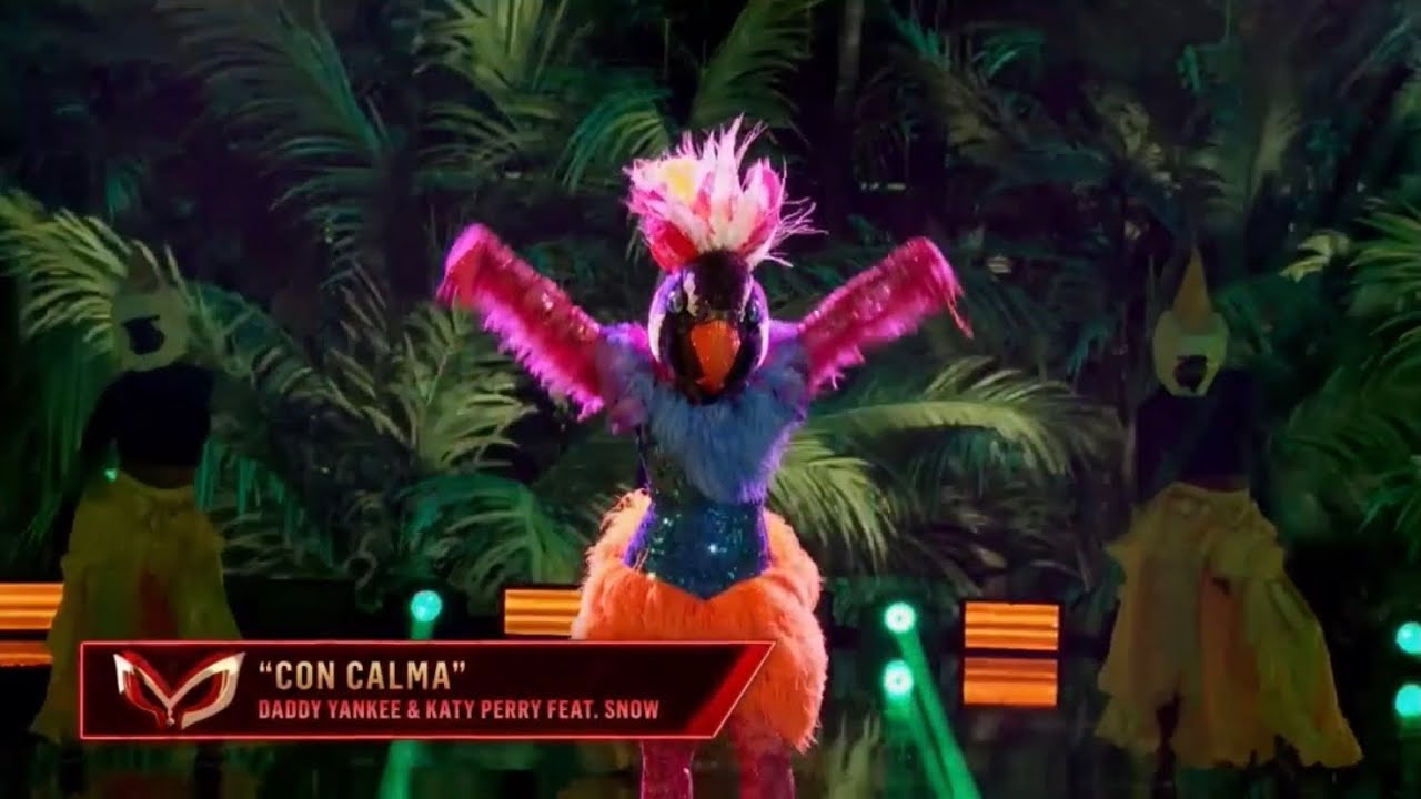 Exotic Bird Dances To "Con Calma" By Daddy Yankee And Katy Perry ...
